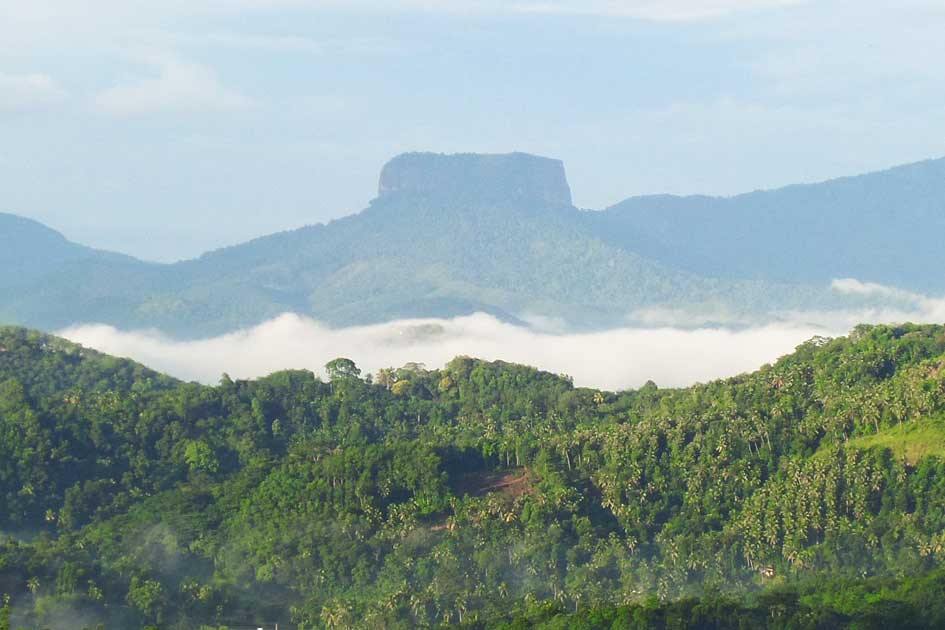 බතලේගල කන්දේ ඉදිකිරීම් නවත්වන්න යැයි ජනපති ලේකම් කාර්යාලයෙන් නියෝගයක් - Rata.lk